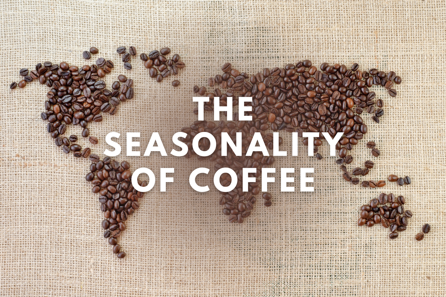 The Seasonality of Coffee – Calioh Coffee